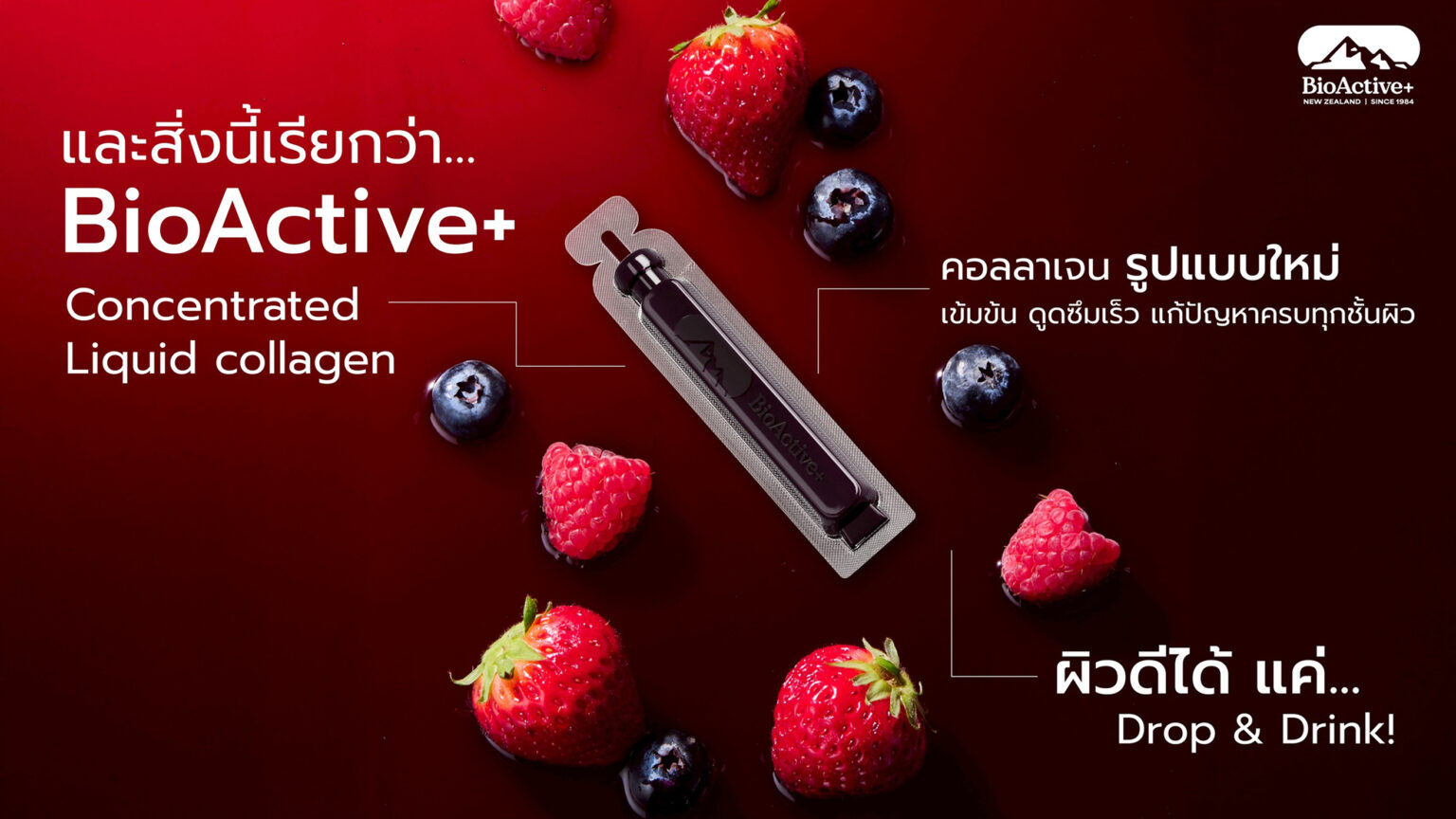 BioActive Concentrated Liquid Collagen - BioActive Brand